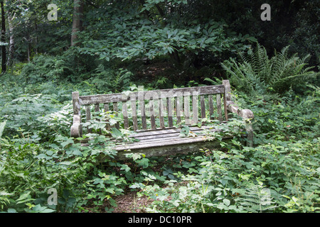 Overgrown rustic wooden bench seat covered in brambles and other wild ...