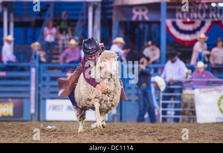 A boy riding on a sheep during a Mutton Busting contest at the Clark ...