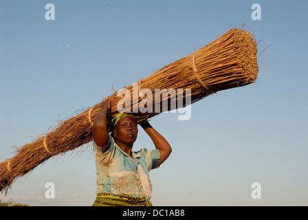 Malawi, August 2009. Machinga District, Moro Village. Melina Temuwa ...