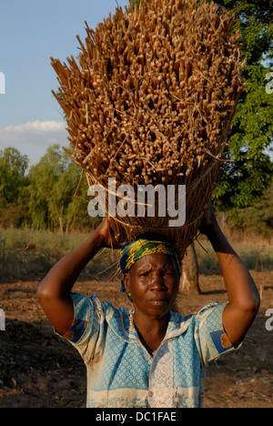 Malawi, August 2009. Machinga District, Moro Village. Melina Temuwa ...