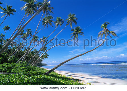 SAVAI Western Samoa beach strand MANASE south coast Stock Photo ...