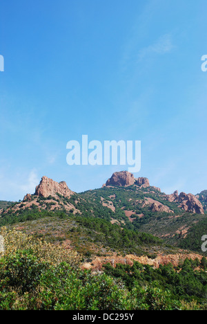 Esterel mediterranean tree, red rocks coast, beach and sea. French ...