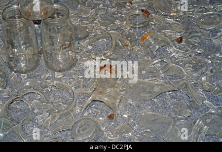 broken glass and shards of glass jars and cutting risk and injury 2 ...