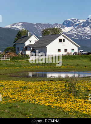 spring in northern Norway, Troms; Tromsoe; Kvaloeya; Sandnessund; Buren ...