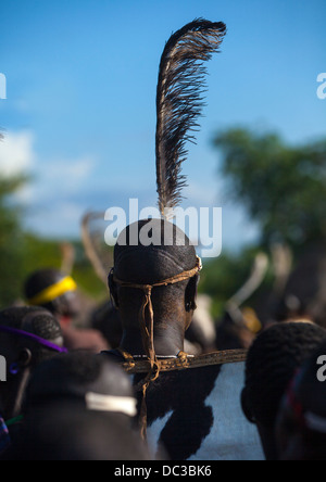 Bodi Tribe Fat Men During Kael Ceremony, Hana Mursi, Omo Valley ...