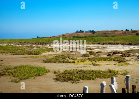 danish wadden sea national park Stock Photo - Alamy