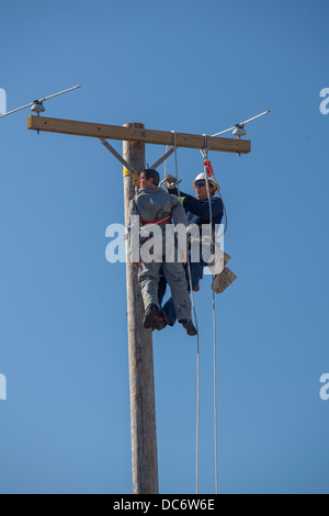 Electric utility linemen climb poles to make repairs during the annual ...