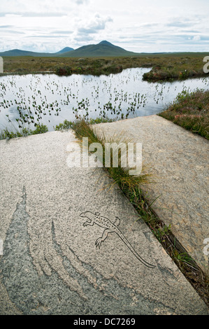 Engraved stone slab at the Forsinard Flows RSPB nature reserve ...