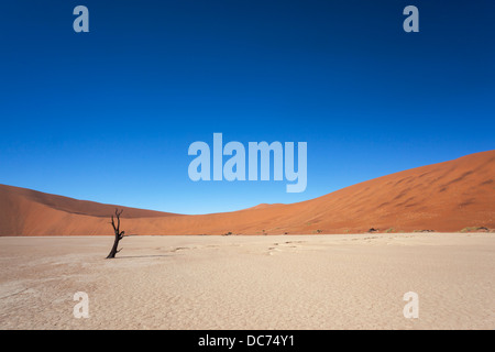 Dead Vlei, Namib desert, Namibia Stock Photo - Alamy