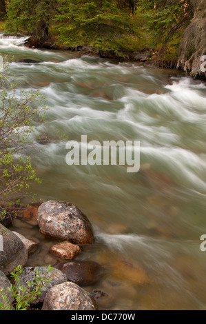 Baker Creek, Banff National Park, Alberta, Canada Stock Photo - Alamy