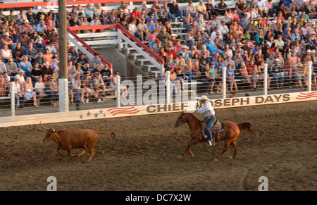 Steer roping event at the Chief Joseph Days Rodeo in Joseph, Oregon ...