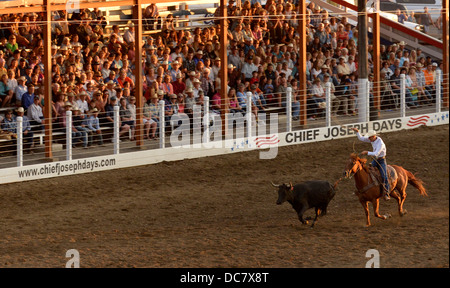 Steer roping event at the Chief Joseph Days Rodeo in Joseph, Oregon ...