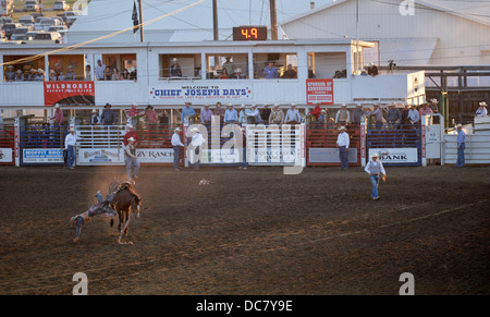 cowboy falling off horse in the desert Stock Photo - Alamy
