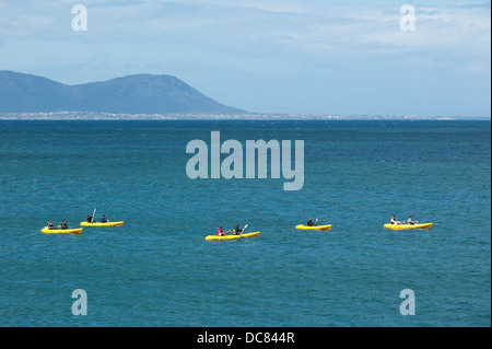 Sea kayaking, Hermanus, Western Cape, South Africa Stock Photo - Alamy