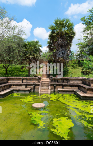 Kumara Pokuna, Royal Pond of King Parakramabahu, UNESCO World Heritage ...