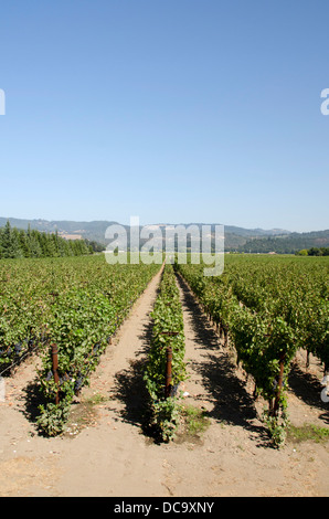 Sutter Home Winery Napa Valley California Stock Photo - Alamy
