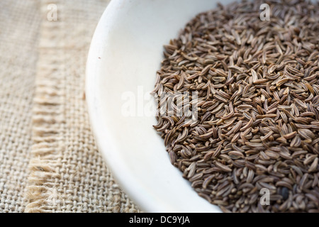 Kümmel / caraway seeds (Carum carvi Stock Photo - Alamy