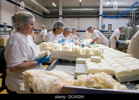 Madeta, the biggest dairy in the Czech Republic, raised revenues this ...