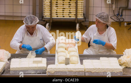 Madeta, the biggest dairy in the Czech Republic, raised revenues this ...