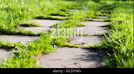 footpath on th green grass in the park Stock Photo - Alamy