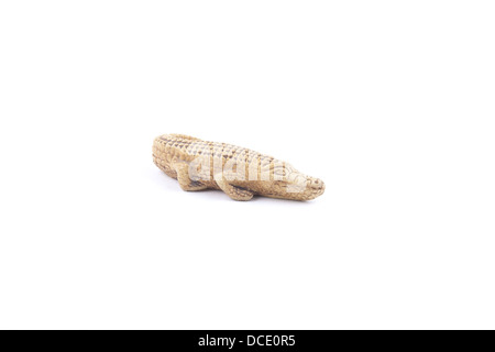 Dried crocodile head souvenir with sharp teeth and scary texture on ...