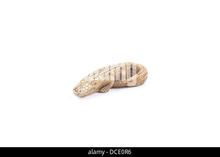 Dried crocodile head souvenir with sharp teeth and scary texture on ...