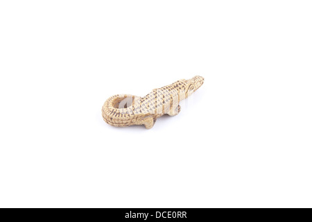 Dried crocodile head souvenir with sharp teeth and scary texture on ...