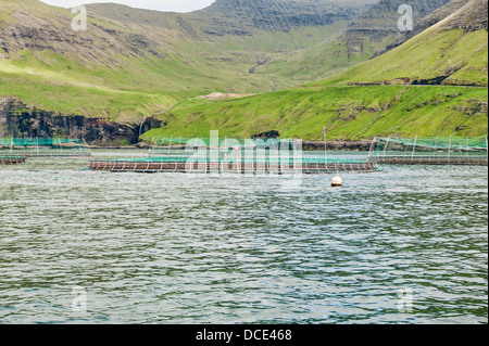 Salmon Farming - Faroe Islands Stock Photo - Alamy