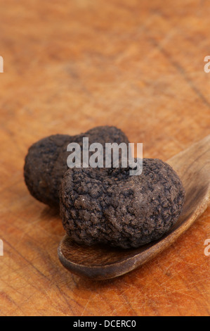 some organic summer truffle on a timber spoon Stock Photo - Alamy