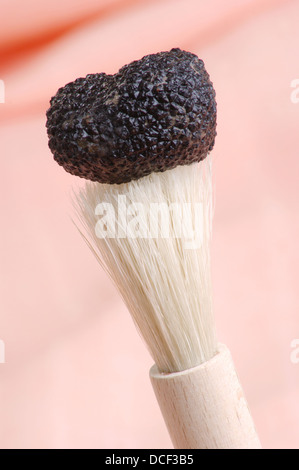 some organic summer truffle on a timber spoon Stock Photo - Alamy