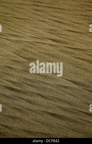 Beach with soft sand, rippled texture of windblown effect Stock Photo ...