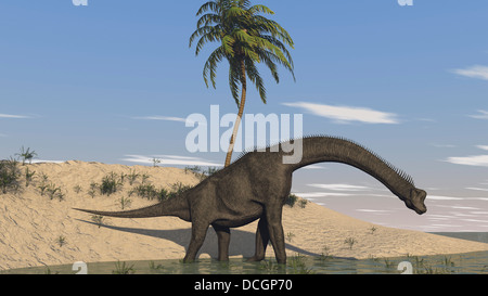 Brachiosaurus dinosaur walking in water landscape by morning light ...
