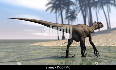 Utahraptor in shallow water Stock Photo - Alamy