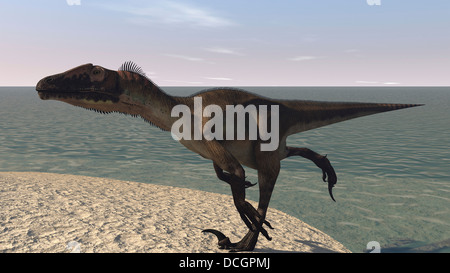 Utahraptor dinosaur, side view on black background Stock Photo - Alamy