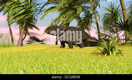 Triceratops roaming a tropical environment Stock Photo - Alamy