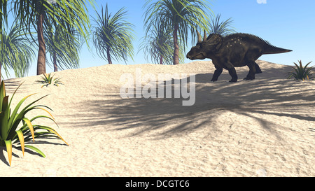 Triceratops walking in a tropical environment Stock Photo - Alamy