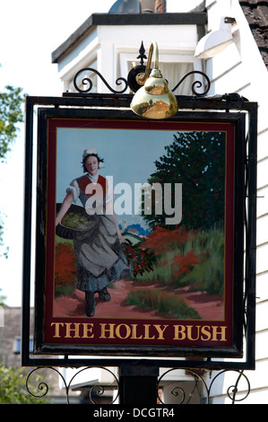 the bush Pub sign Stock Photo - Alamy