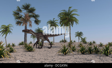 Utahraptor roaming a prehistoric environment Stock Photo - Alamy