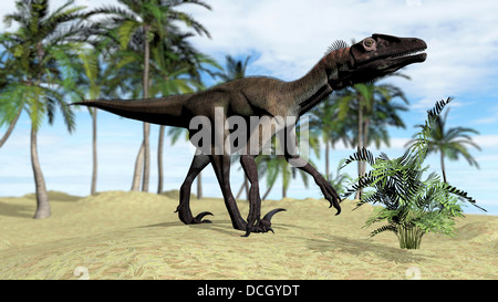 Utahraptor in a tropical prehistoric environment Stock Photo - Alamy