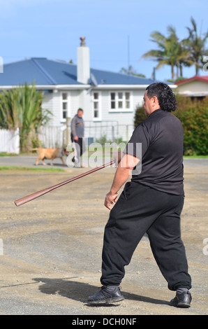 A New Zealand Maori indigenous men in native costume performs the Stock ...