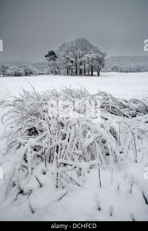 Winter snow, Hutton, Guisborough Stock Photo - Alamy