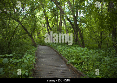 Ashland Nature Center, Hockessin, Delaware. Photo by Janet Worne Stock ...