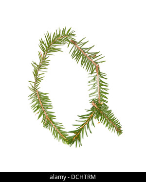 Spruce twigs forming the letter 'O' Stock Photo - Alamy