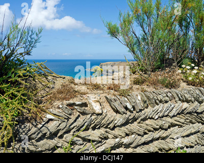 Traditional Cornish herringbone dry stone wall near Fistral beach ...