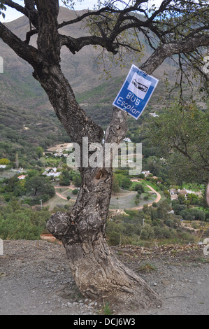 Bus Stop sign, Spanish Stock Photo - Alamy