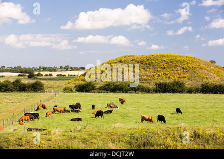 Skipsea Castle, seat of the Lords of Holderness, in Skipsea, Yorkshire ...