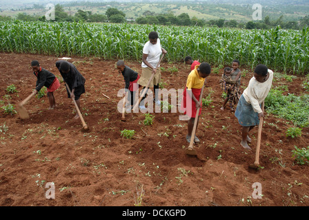 Swaziland 2006 Rural farming practices and problems faced by ...