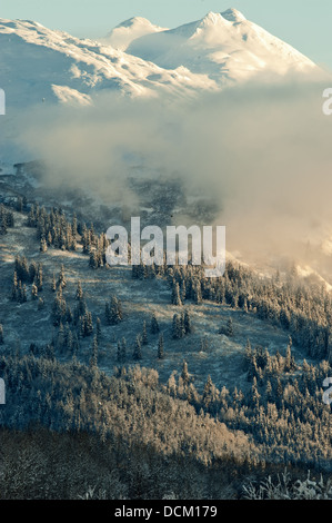 The Chilkat Valley under a covering of snow Stock Photo - Alamy
