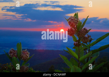 Sunset, Riprap Overlook, Shenandoah National Park, Virginia, USA Stock ...