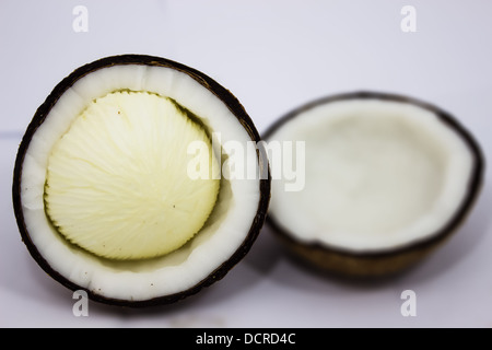 Cross Section Of A Coconut with Its Embryo Stock Photo - Alamy